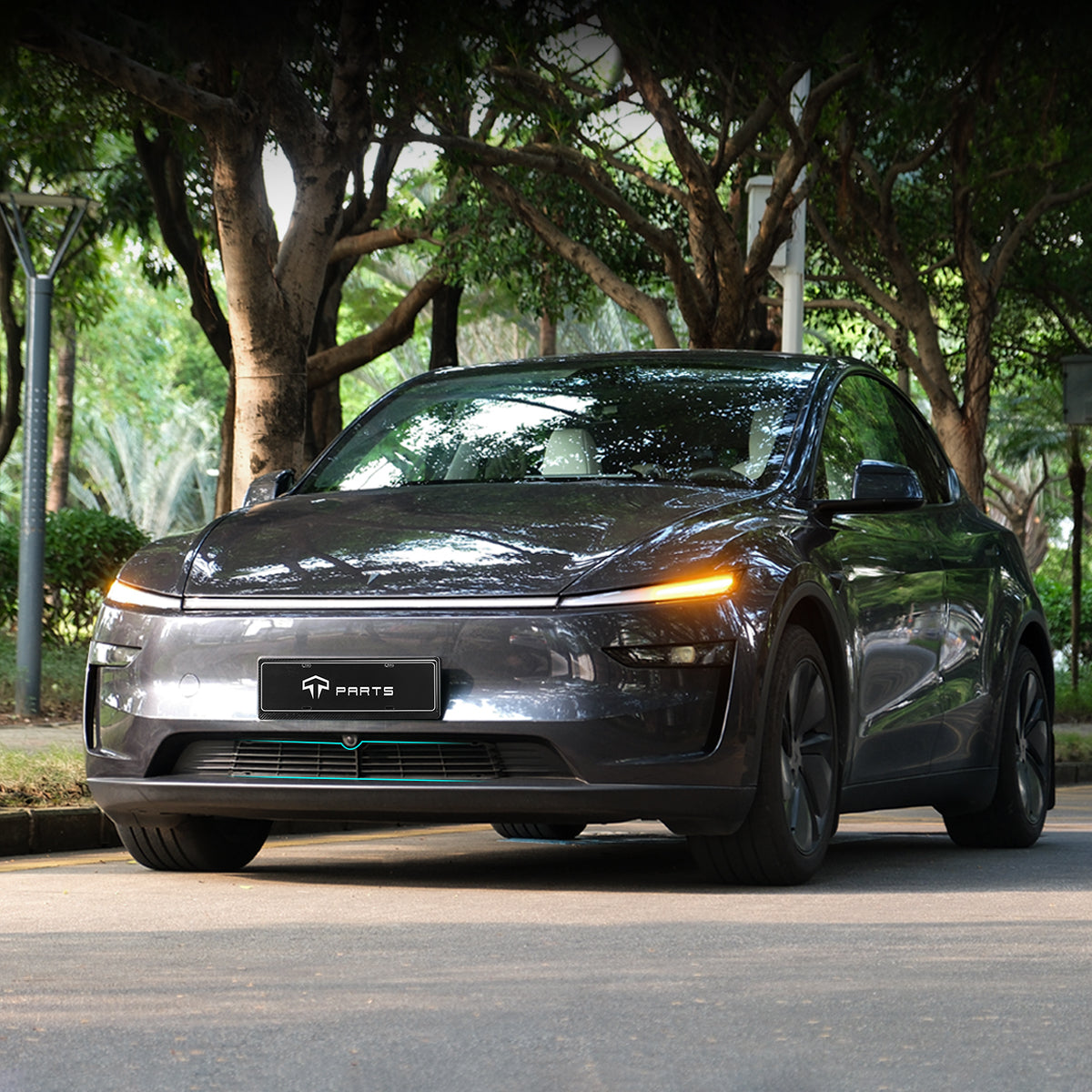 Tesla Rear Fog Lamp Activation Process You Need to Know | Tparts