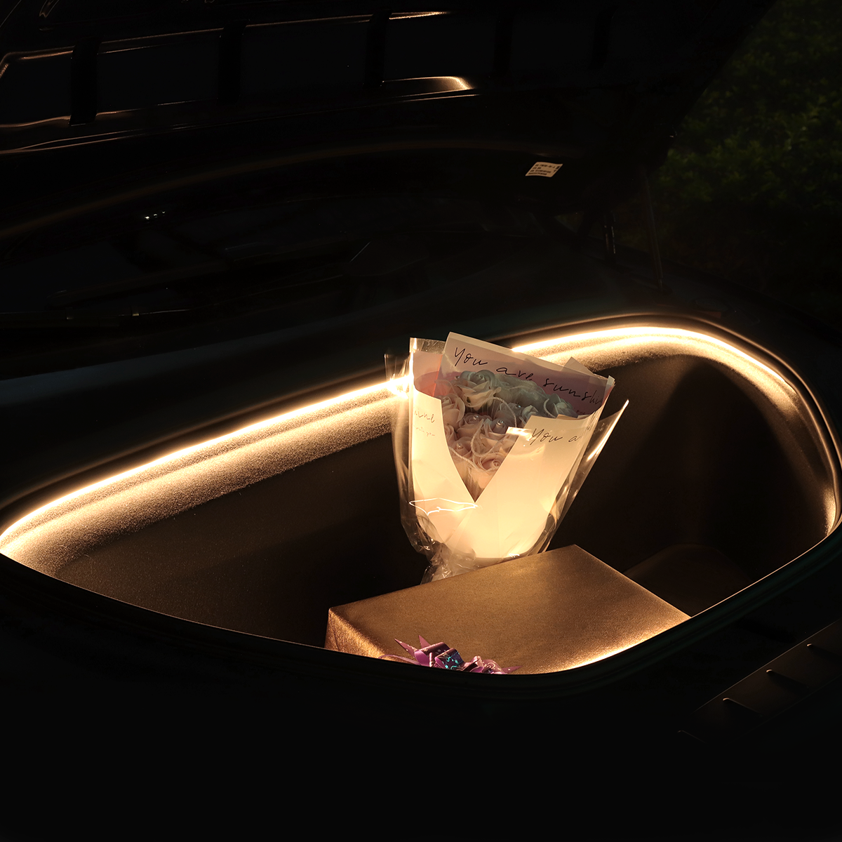 Tesla Model X Front Trunk LED Strip – Tparts